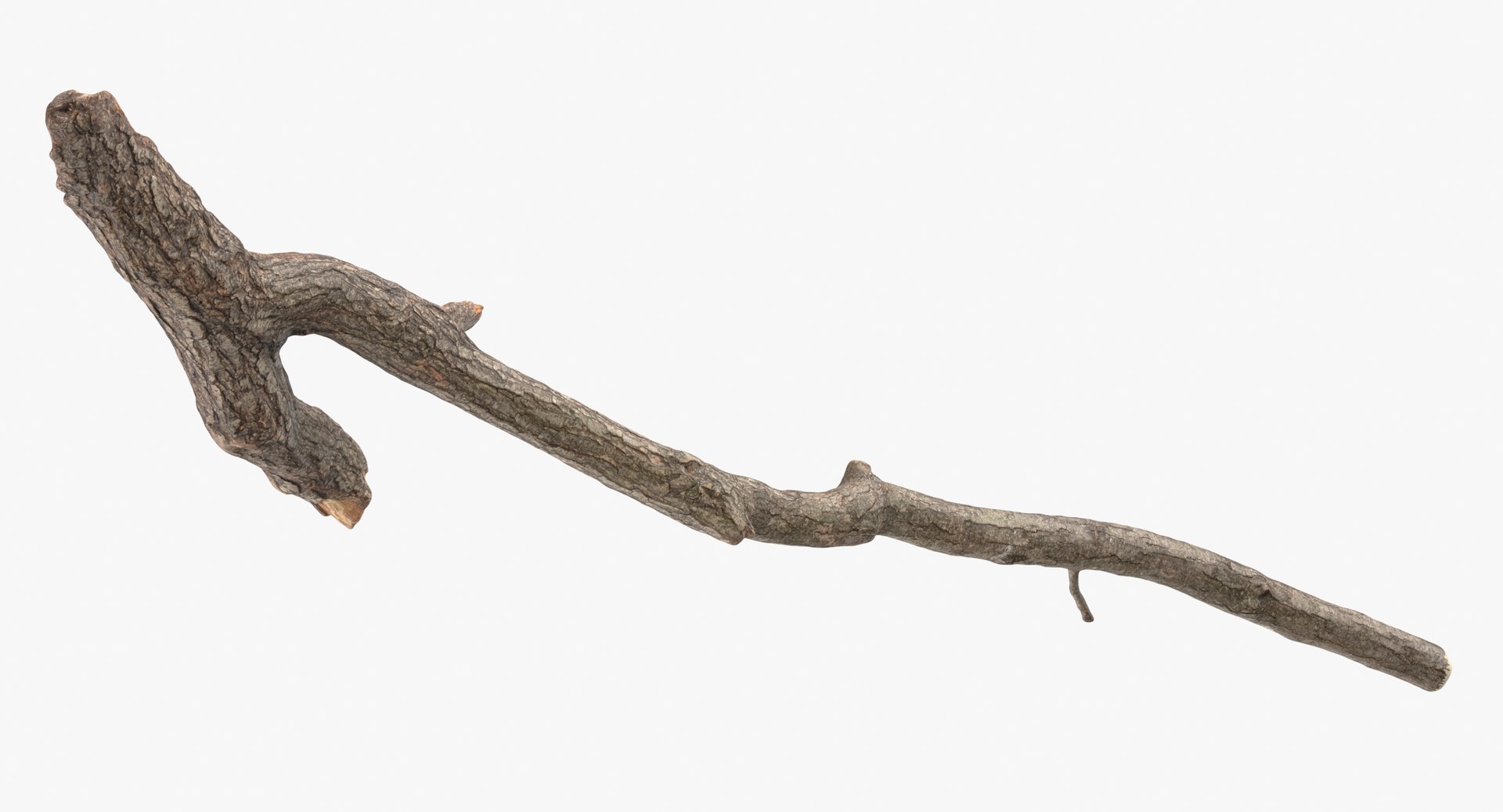 Fallen Branch 02 Model - TurboSquid 1869692