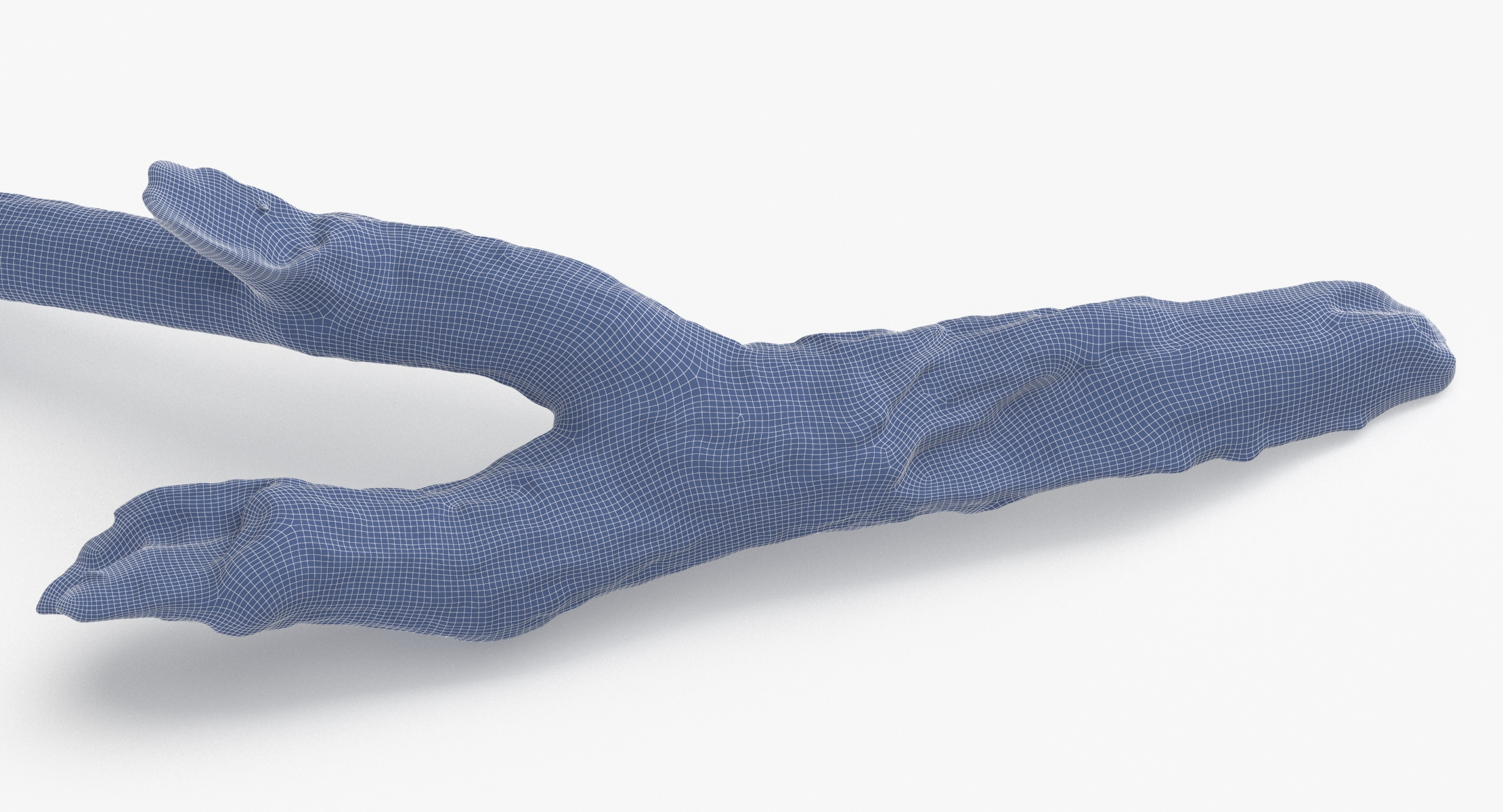 Fallen Branch 02 model - TurboSquid 1869692