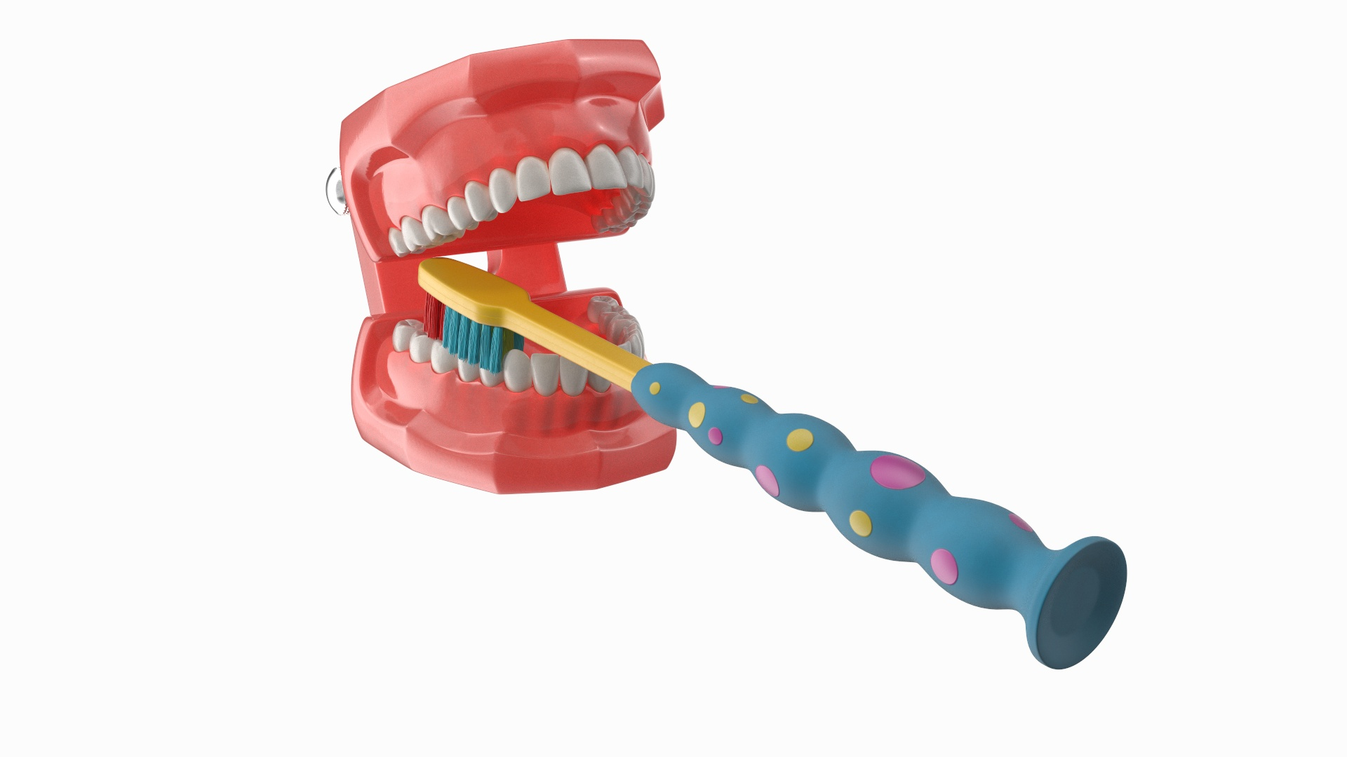 Dental Model With Kids Toothbrush 3D Model - TurboSquid 2350490