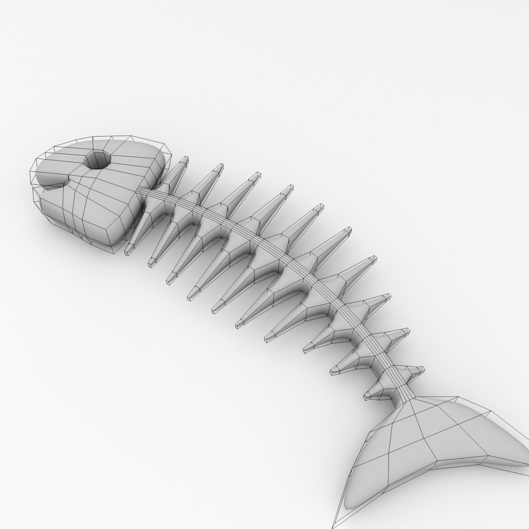 3d Model Fish Bone