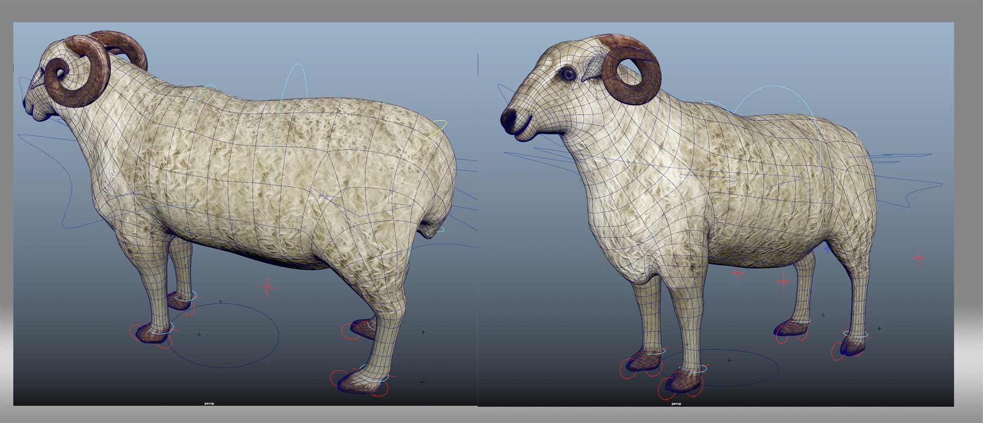 Sheep 3D - TurboSquid 1551828