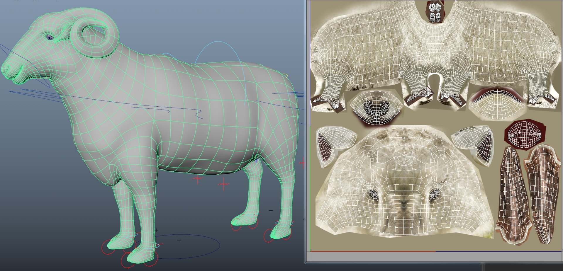 Sheep 3D - TurboSquid 1551828