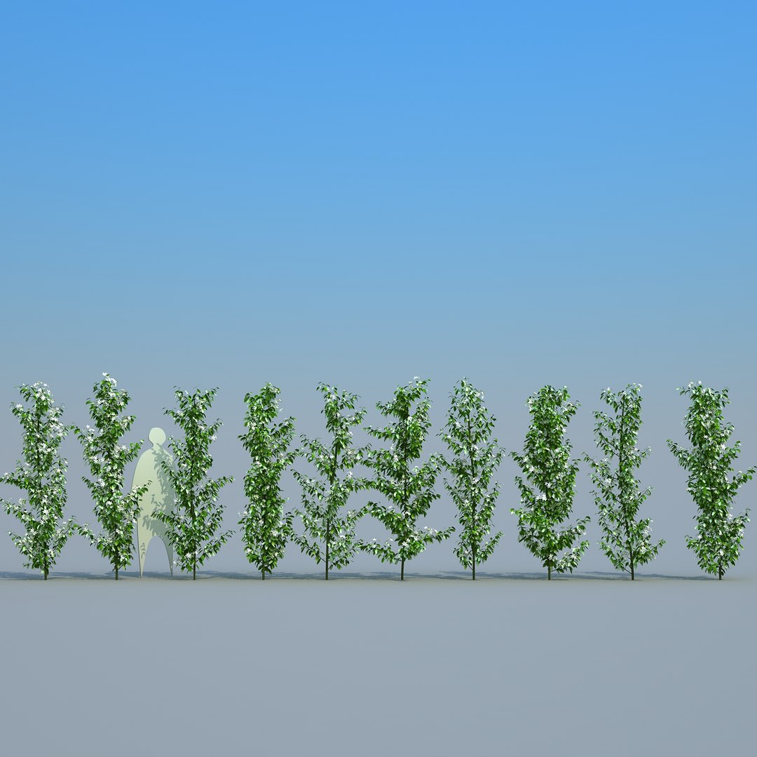3D Tree Plant Model - TurboSquid 1198255