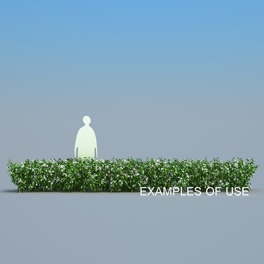 3D Tree Plant Model - TurboSquid 1198255