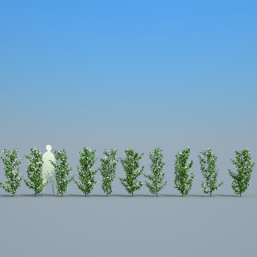 3D Tree Plant Model - TurboSquid 1198255