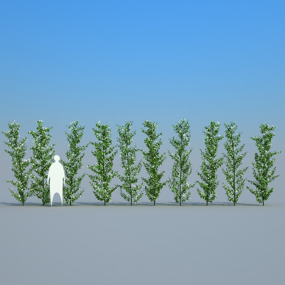 3D Tree Plant Model - TurboSquid 1198255