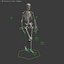 3d human skeleton bone rigged