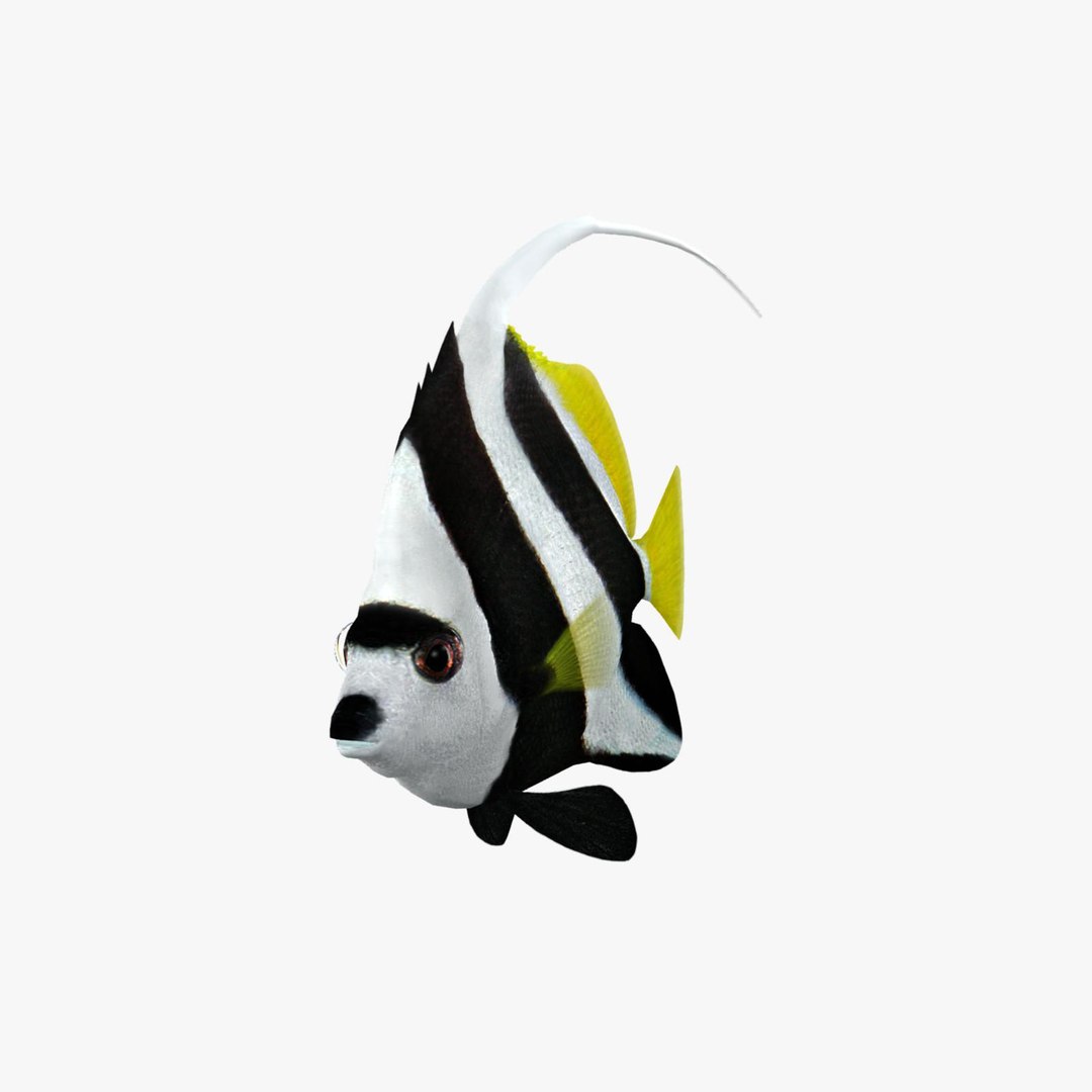 Longfin Bannerfish 3d Model