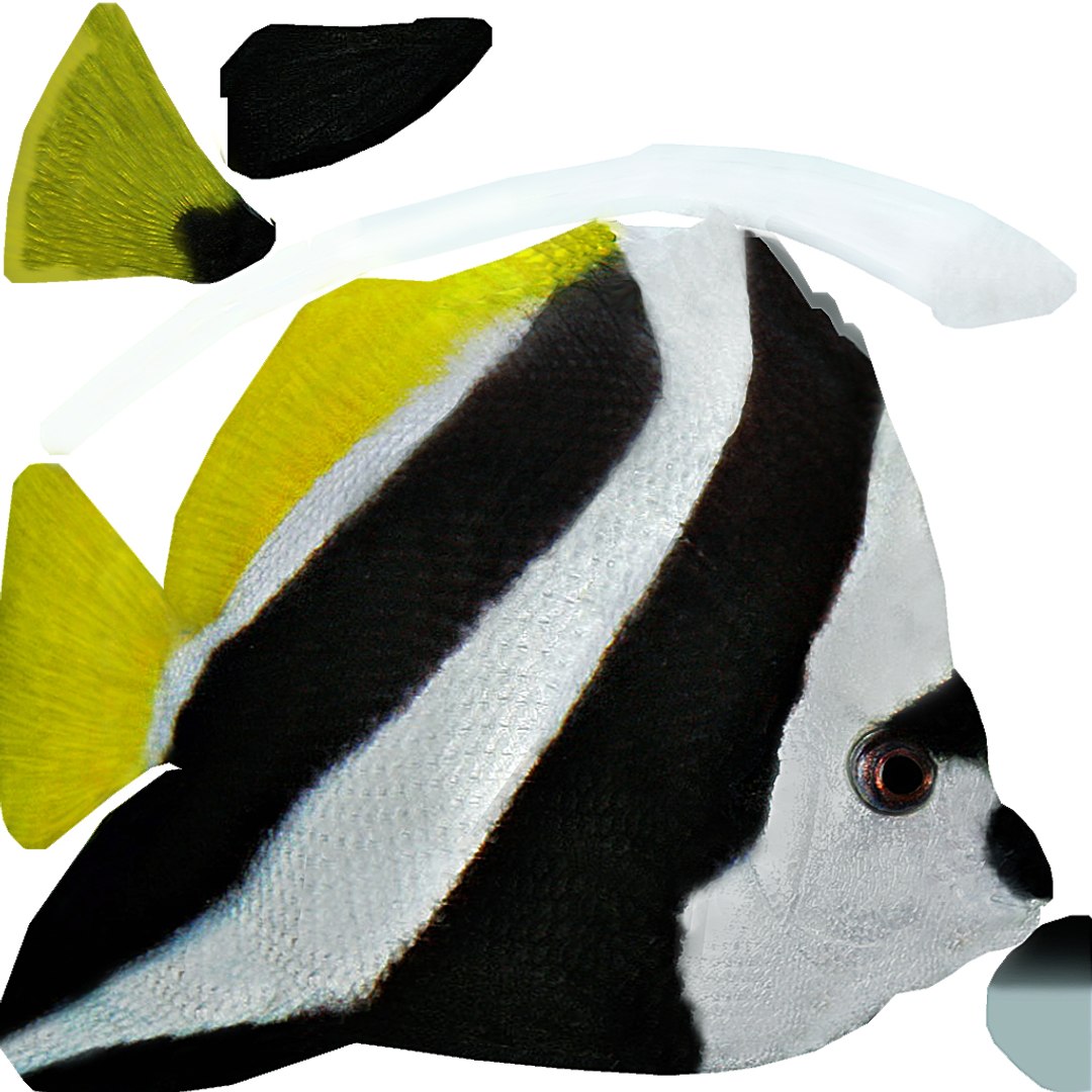 Longfin Bannerfish 3d Model
