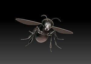 Free 3D Bug Models | TurboSquid
