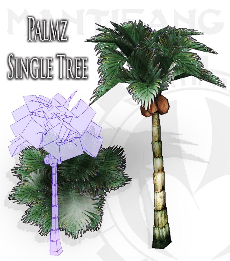 3d Model Palm Tree Set