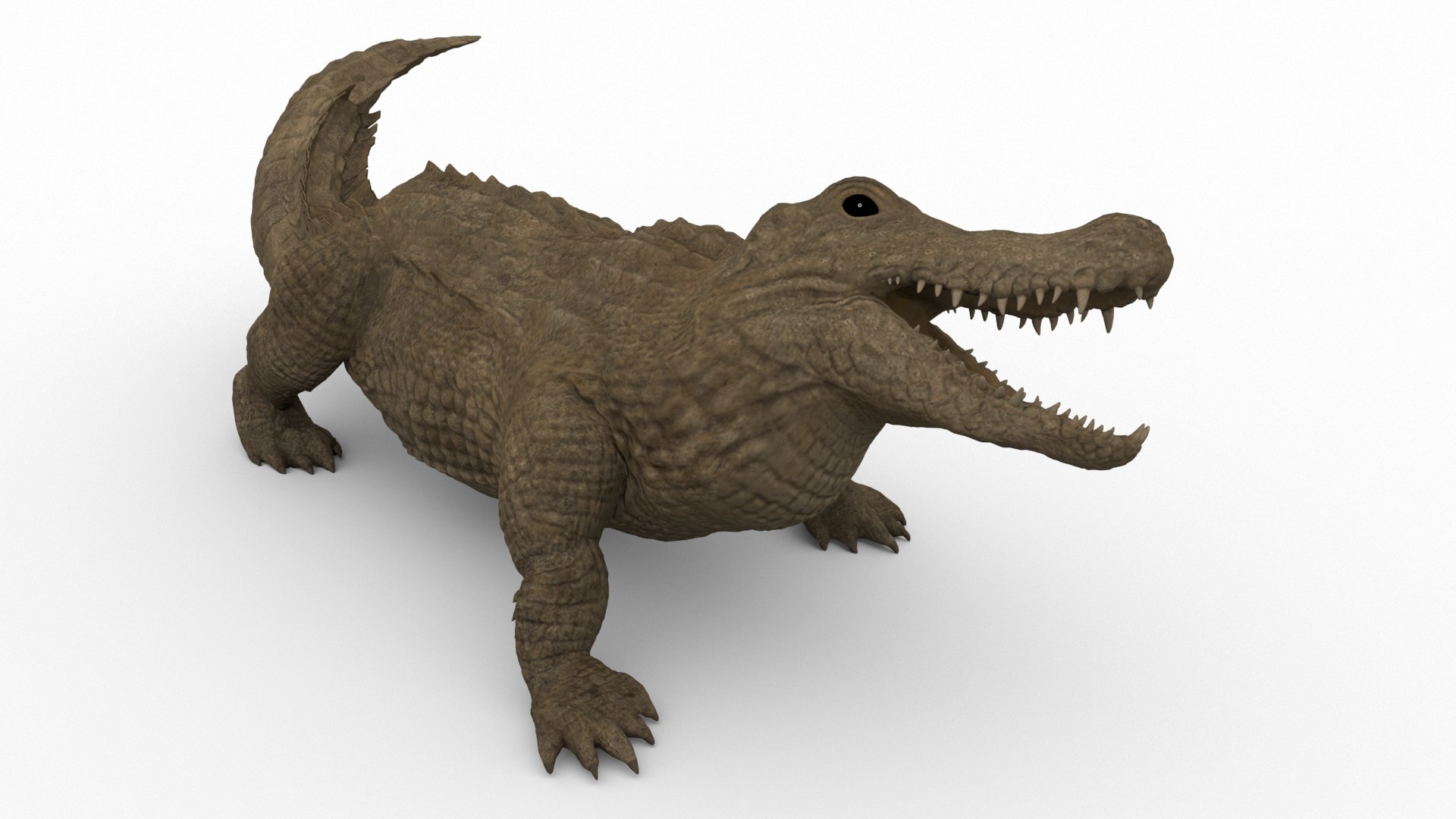 3D Crocodile Model - TurboSquid 2039122