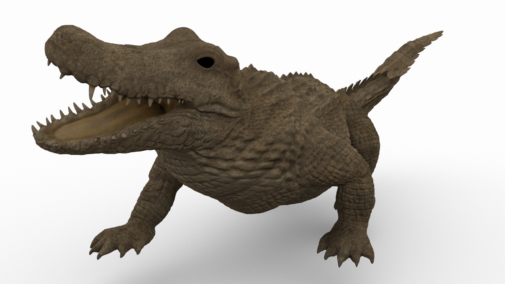 3D Crocodile Model - TurboSquid 2039122