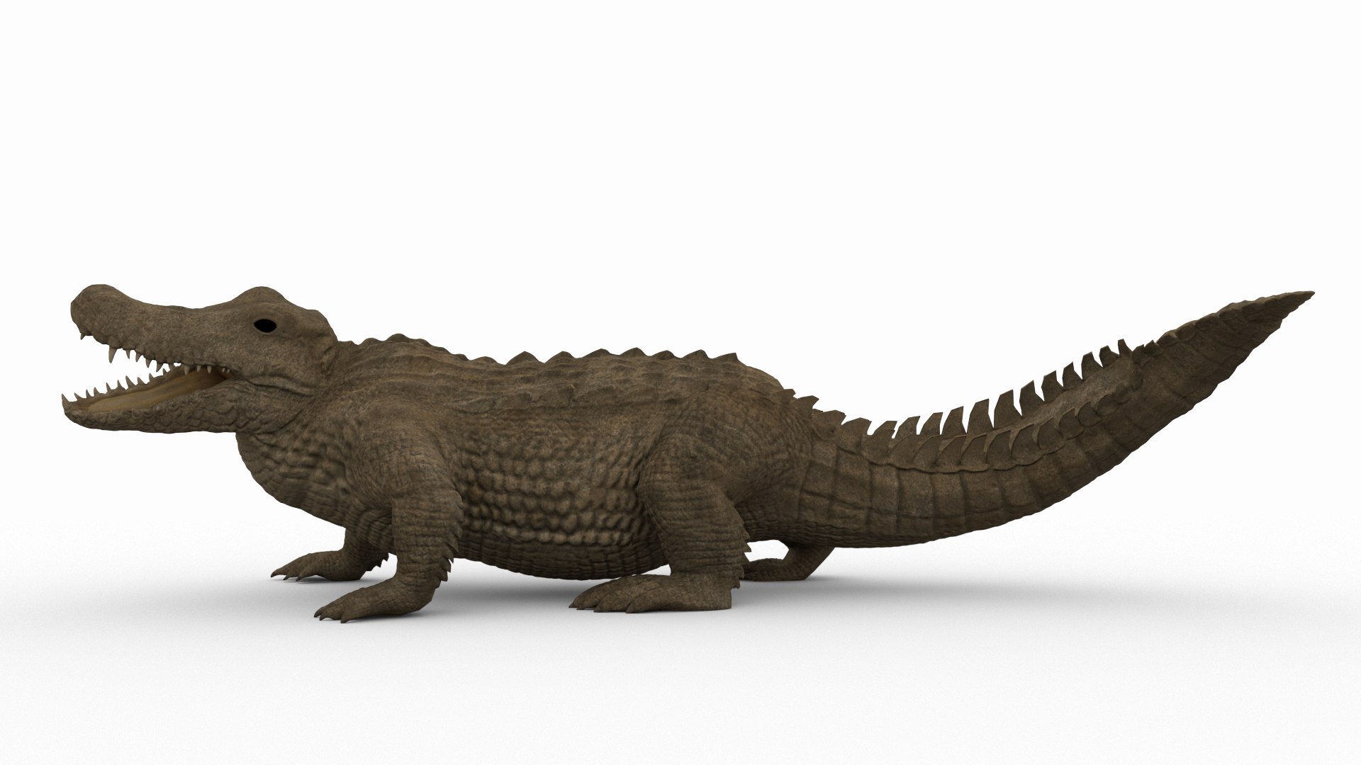 3D Crocodile Model - TurboSquid 2039122