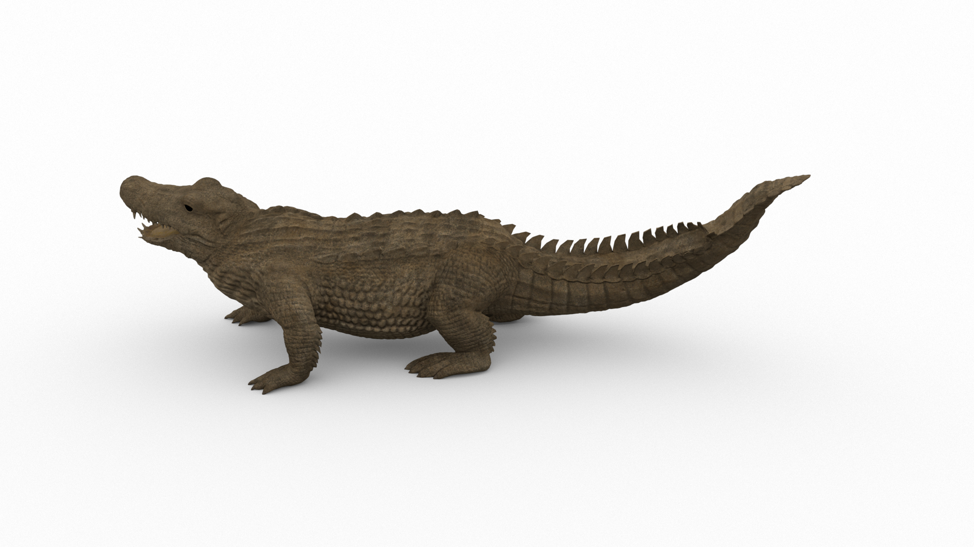 3D Crocodile Model - TurboSquid 2039122