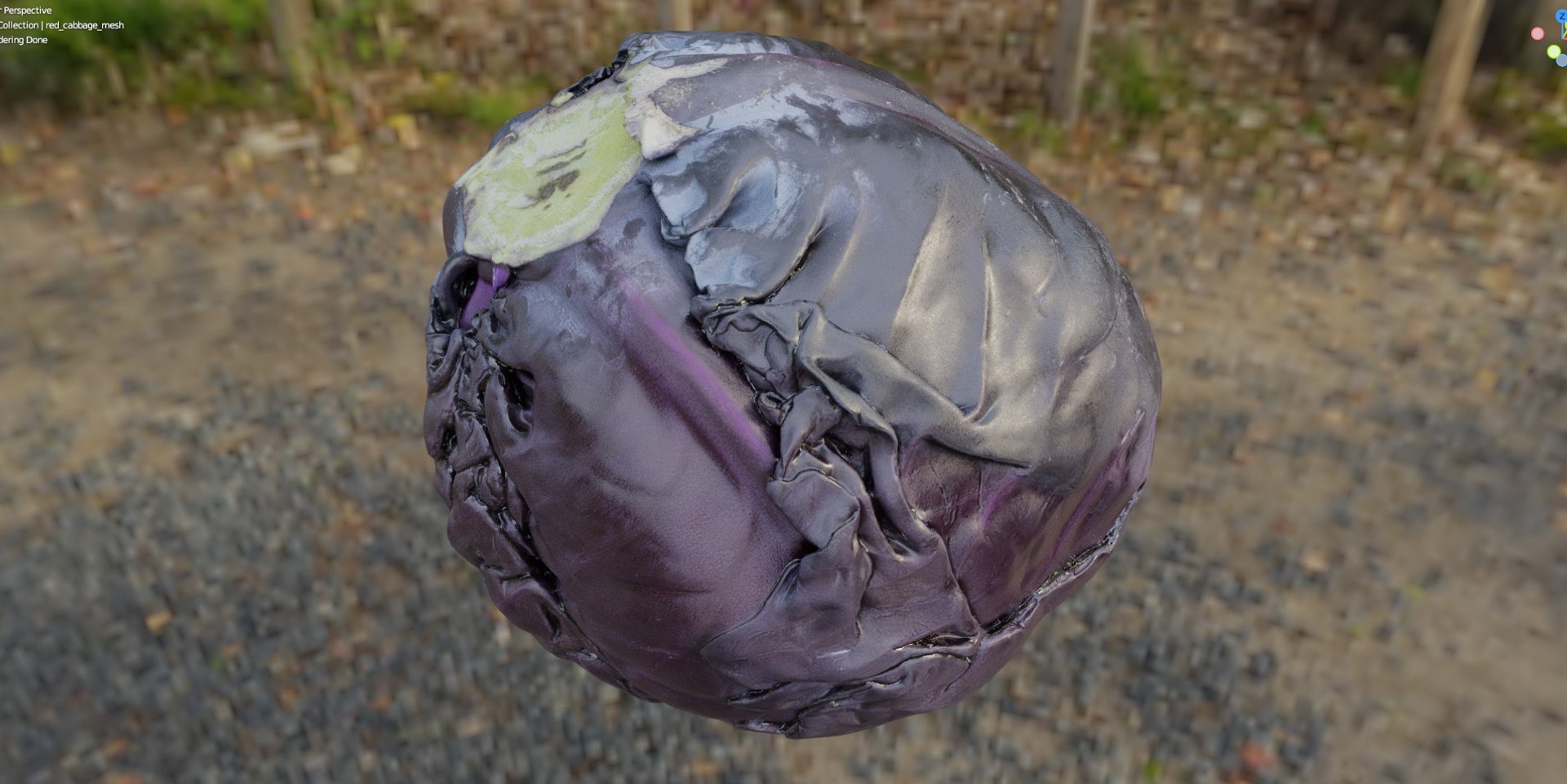 3D 4k Red Cabbage - TurboSquid 1992909
