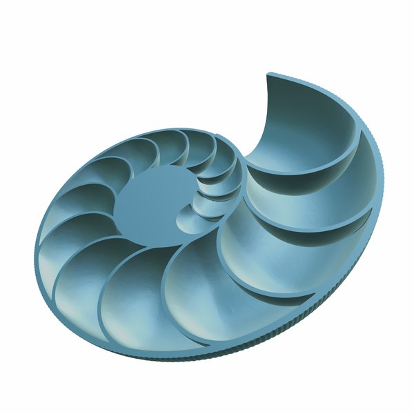 Nautilus Shell 3D Models for Download | TurboSquid