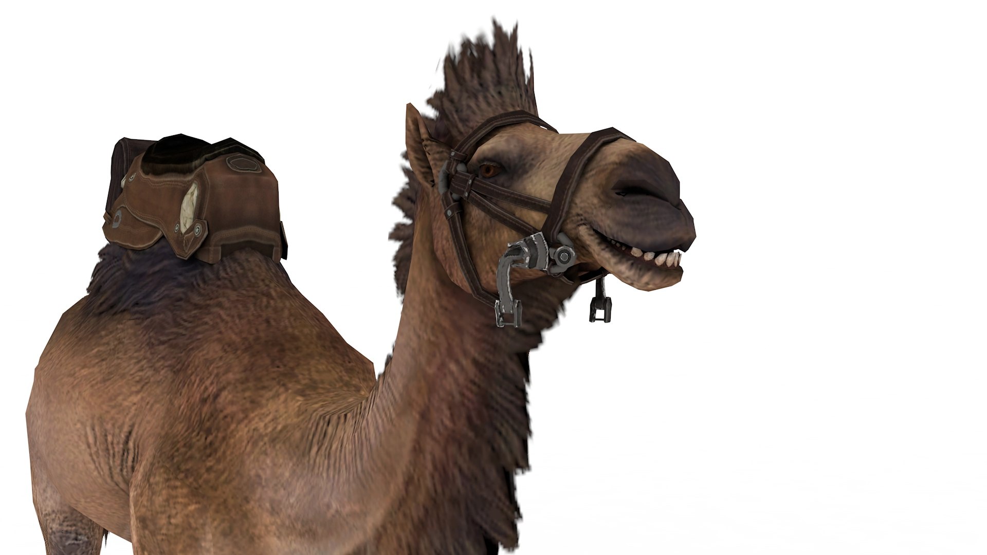 Camel Rigged 3D - TurboSquid 2375553