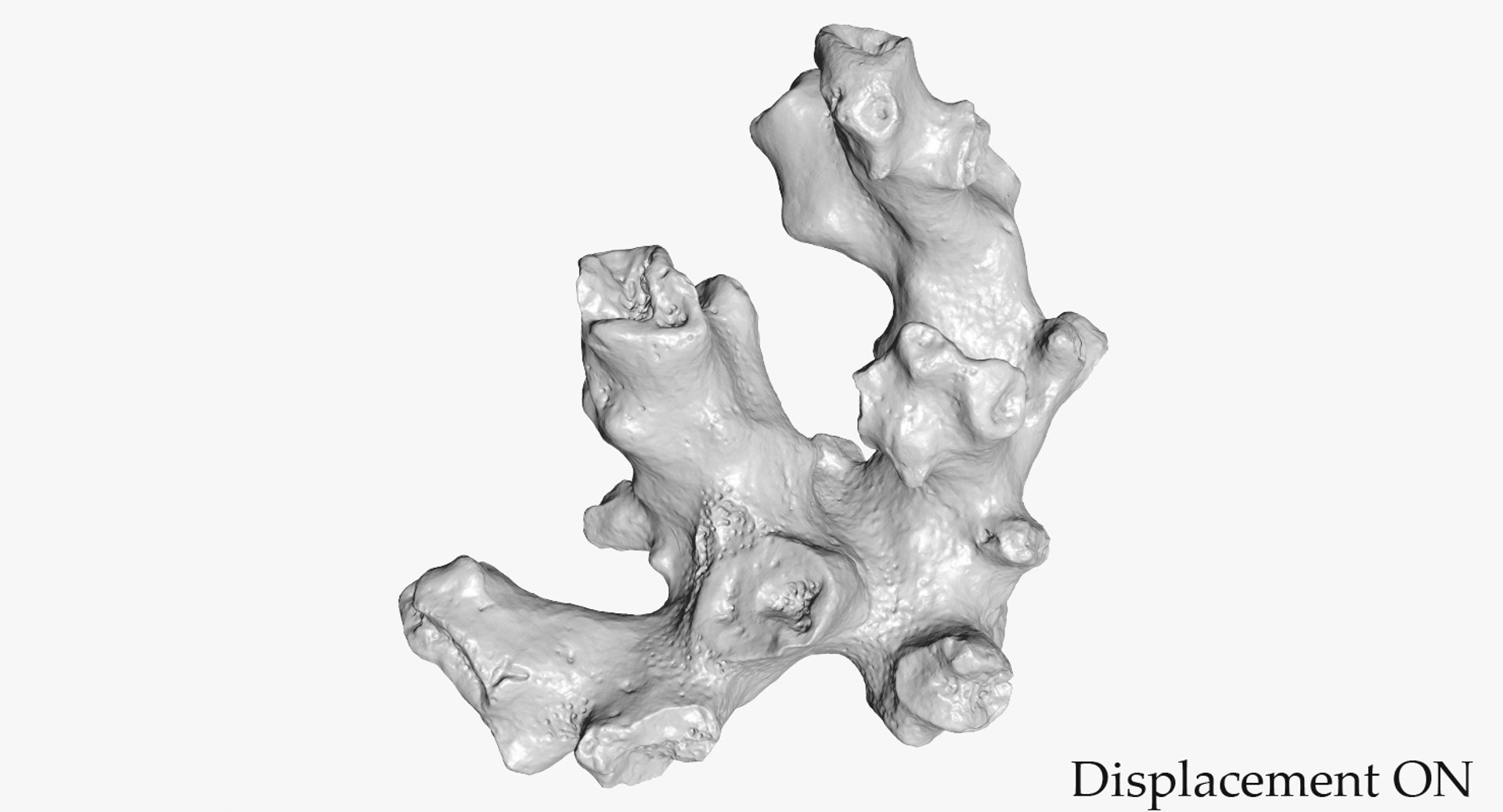 Coral Model - TurboSquid 1275236