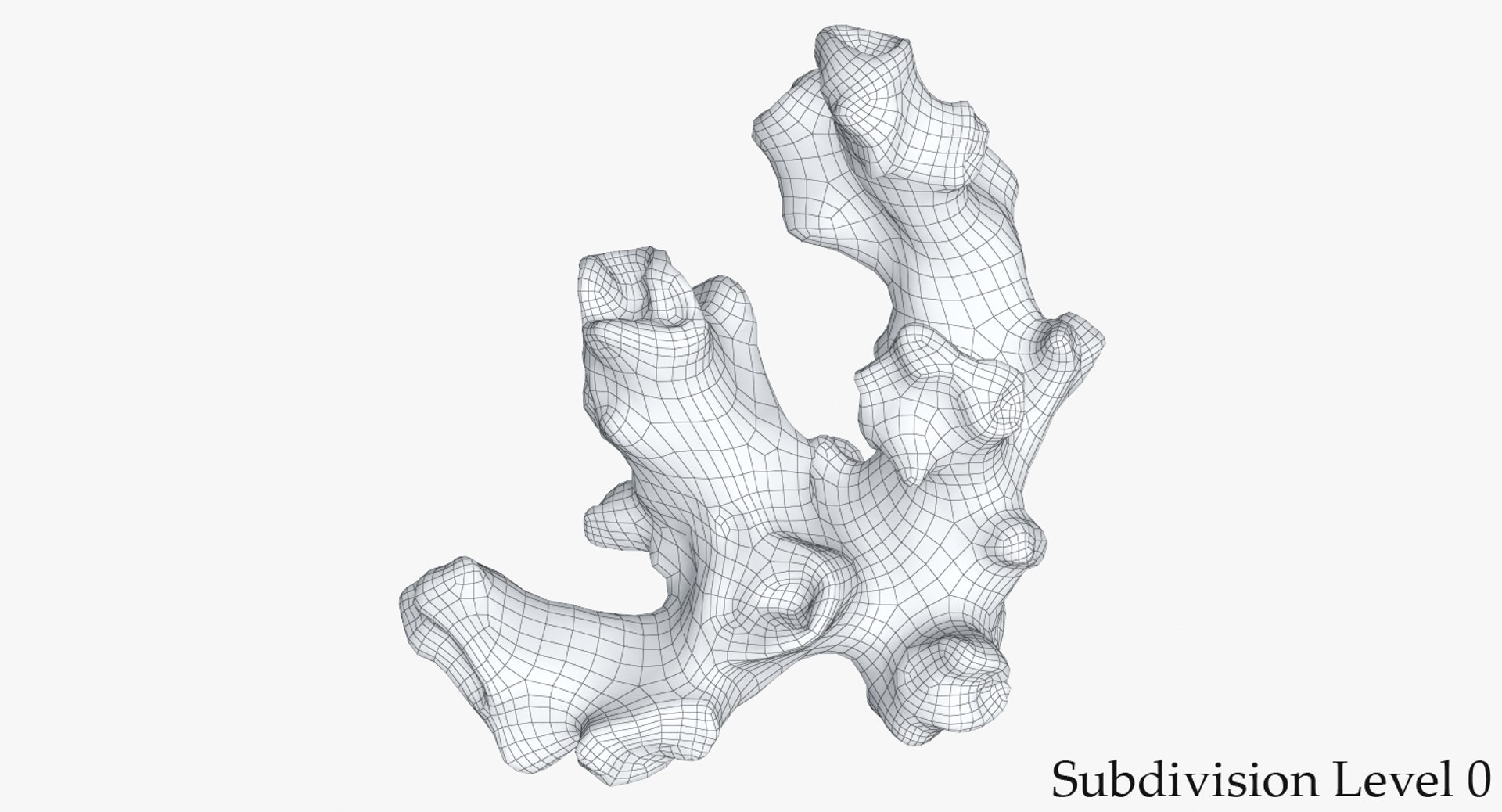 Coral Model - TurboSquid 1275236