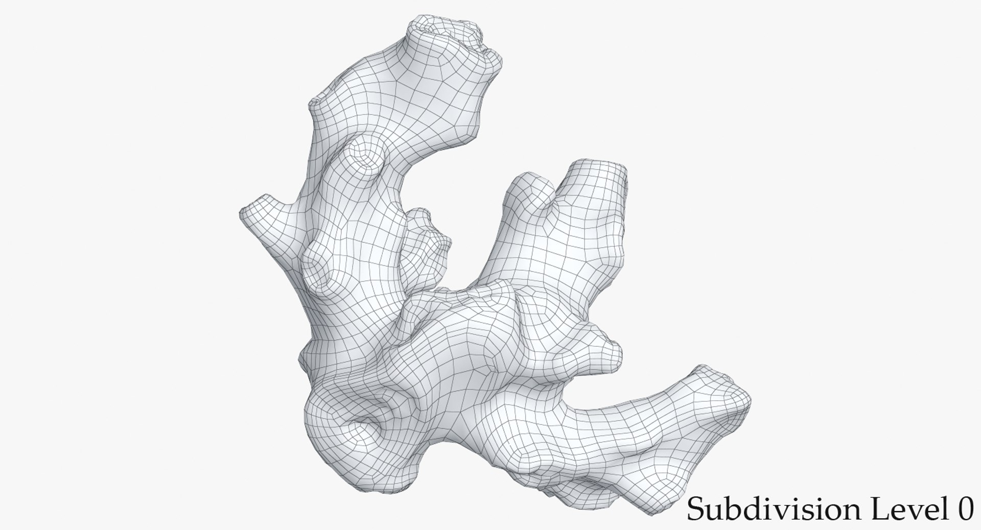 Coral Model - TurboSquid 1275236