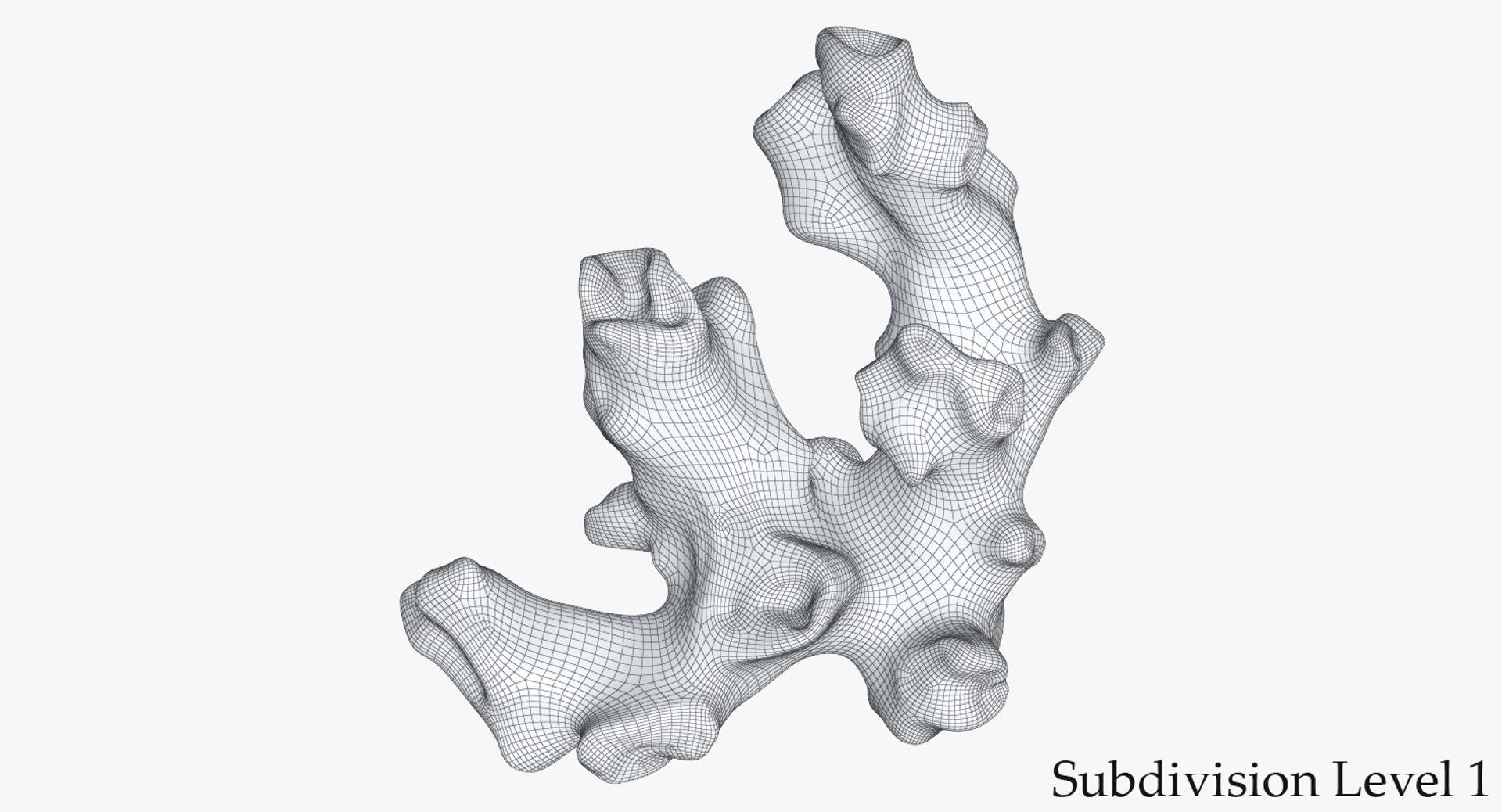 Coral Model - TurboSquid 1275236