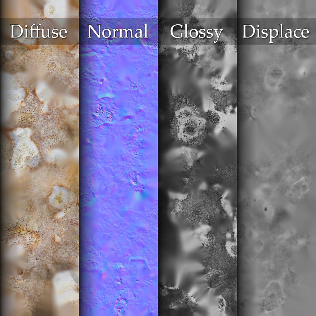 Coral Model - TurboSquid 1275236