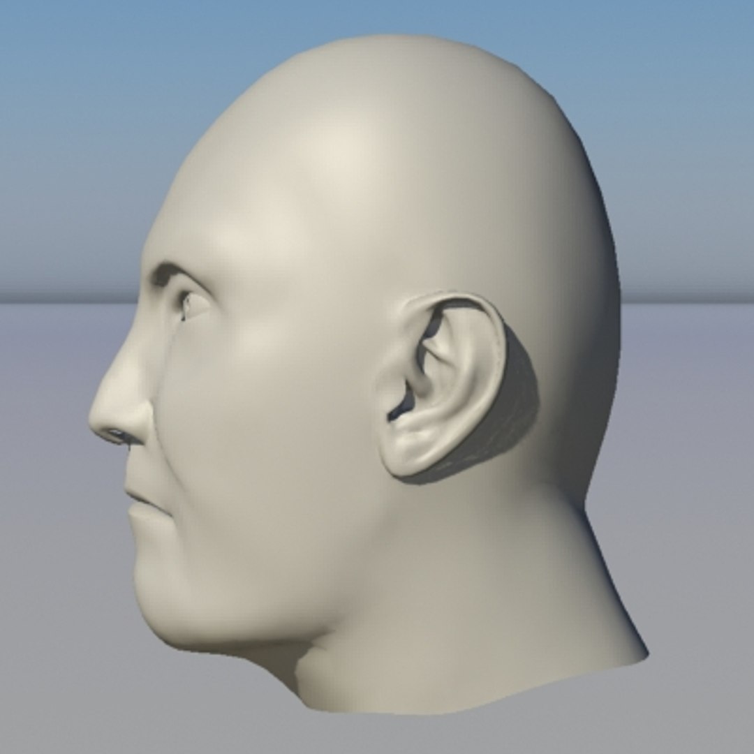 3d Human Head Character - Model