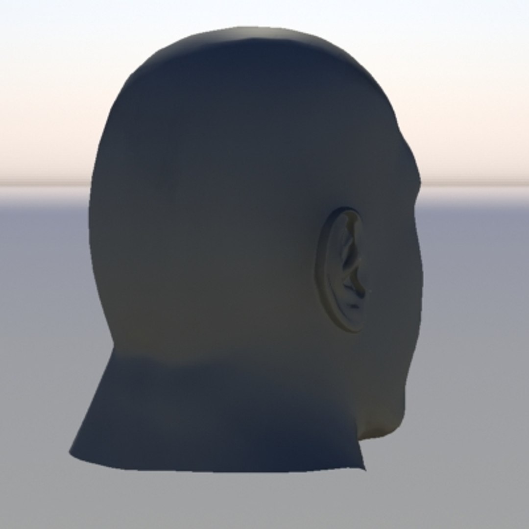 3d Human Head Character - Model