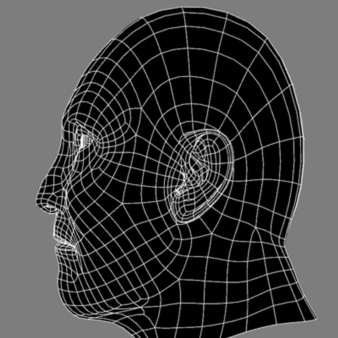 3d Human Head Character - Model
