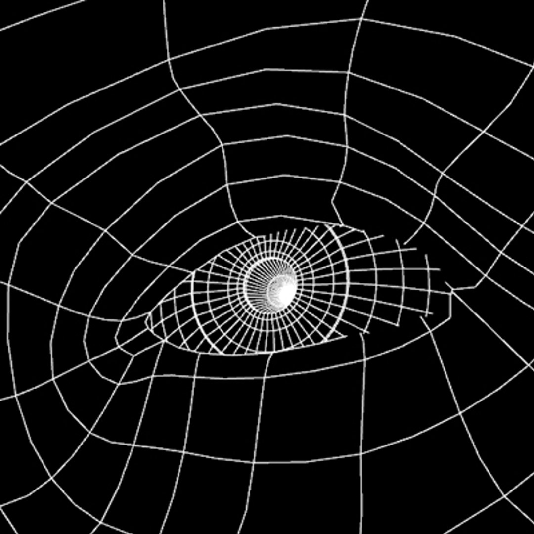 3d Human Head Character - Model