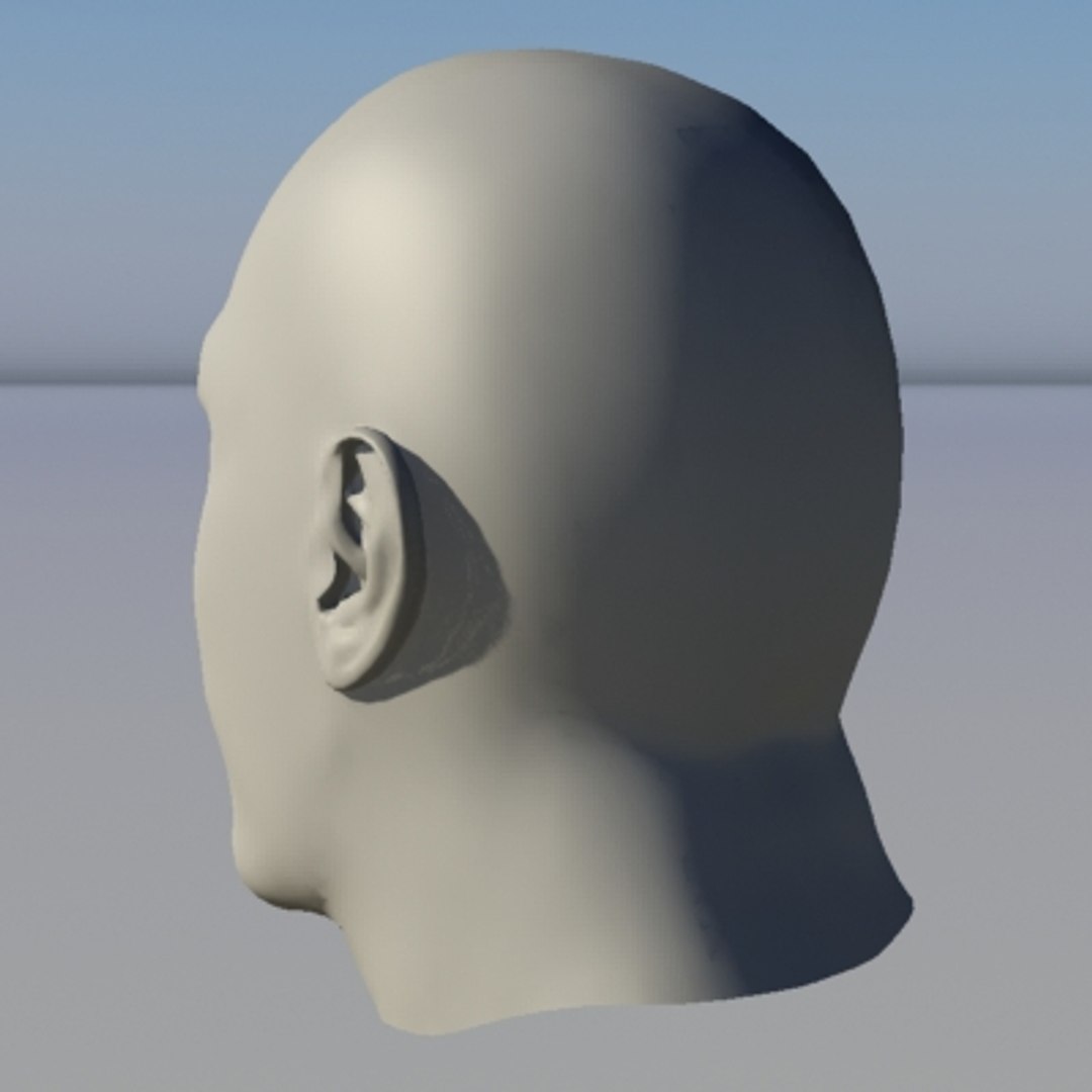 3d Human Head Character - Model