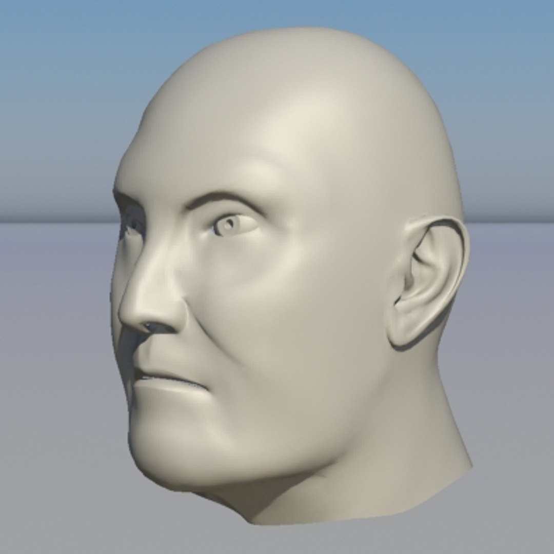 3d Human Head Character - Model