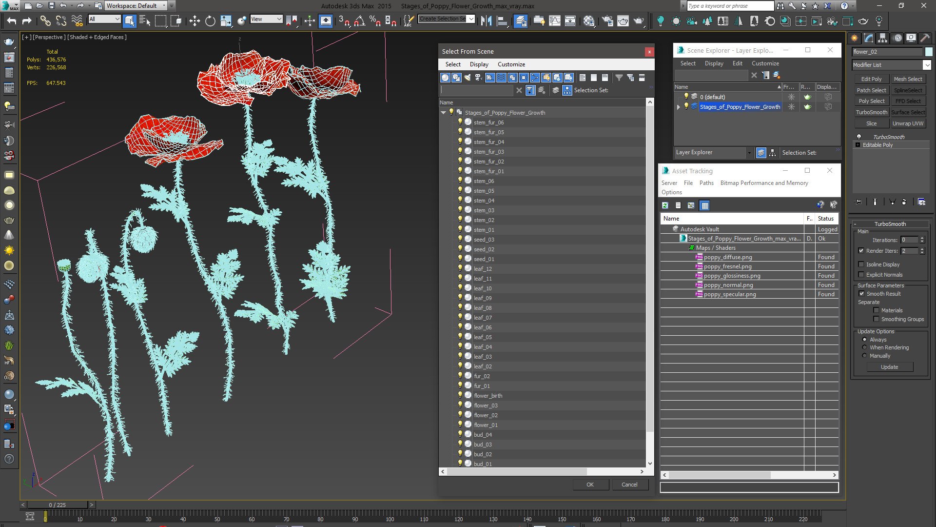 3D stages poppy flower growth model - TurboSquid 1580997