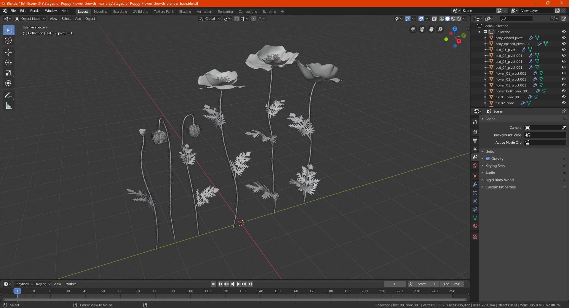 3D Stages Poppy Flower Growth Model - TurboSquid 1580997