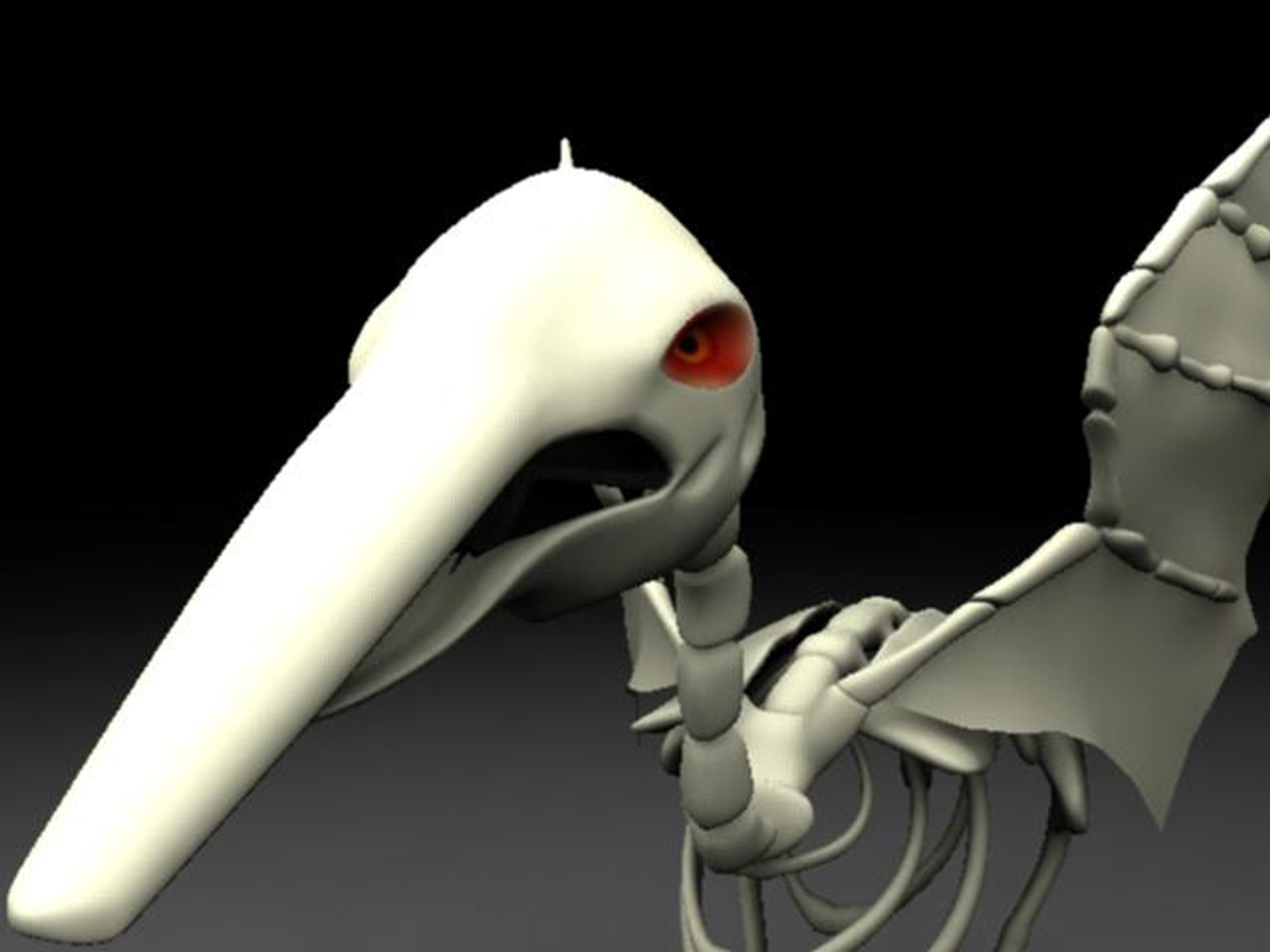 3d model bird skeleton