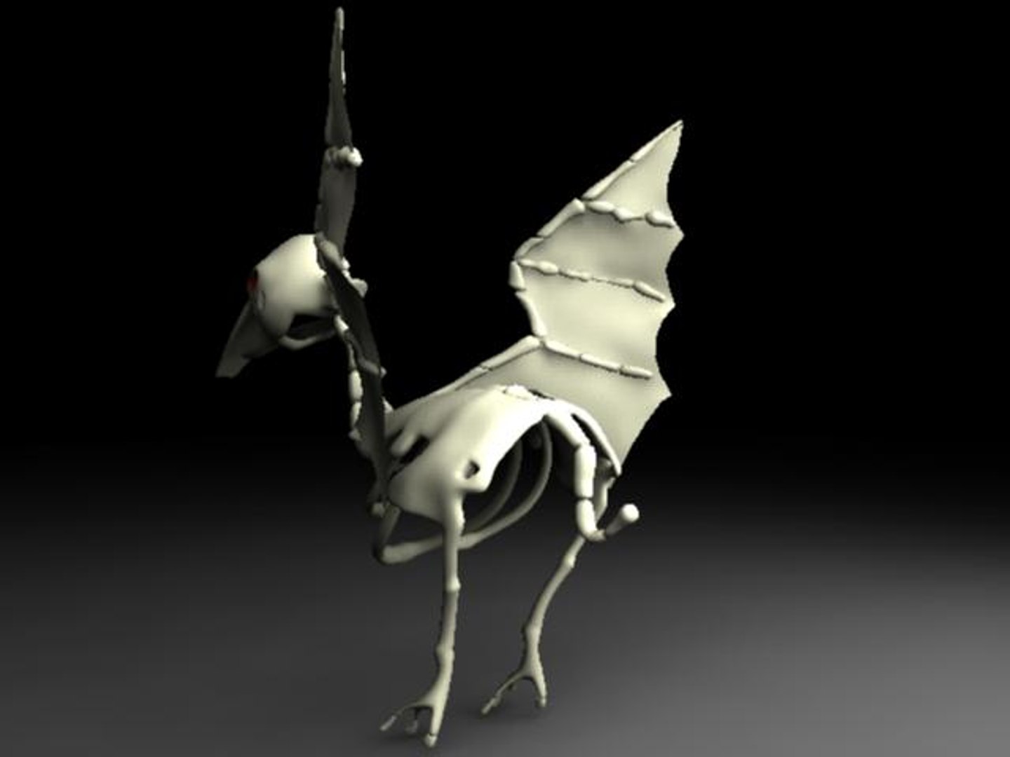 3d model bird skeleton