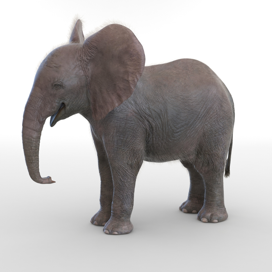 Elephants rigged 3D model - TurboSquid 1515811