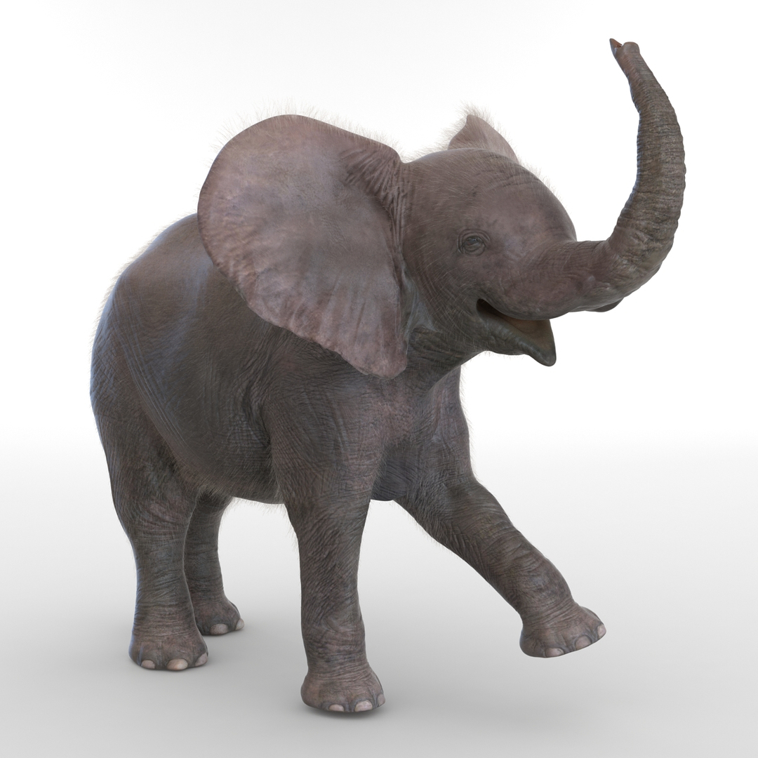 Elephants rigged 3D model - TurboSquid 1515811