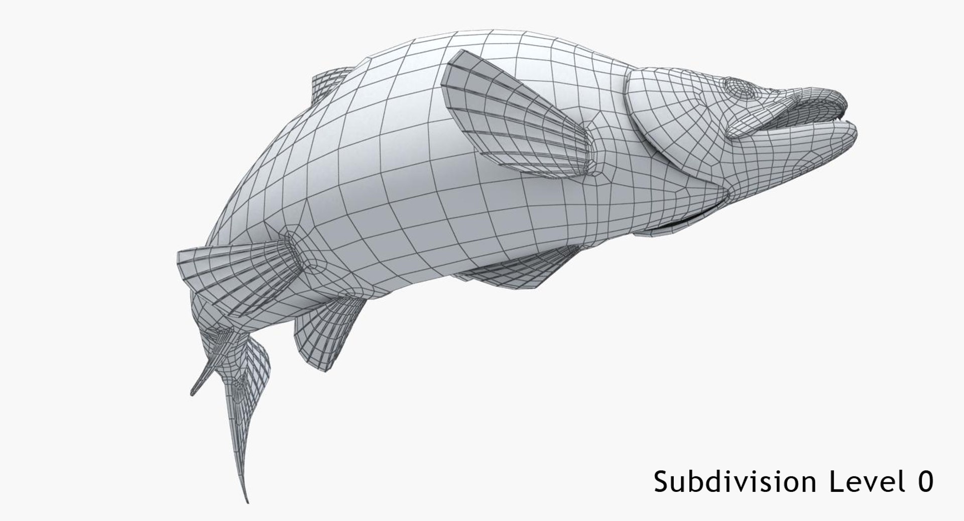 max sockeye salmon animation