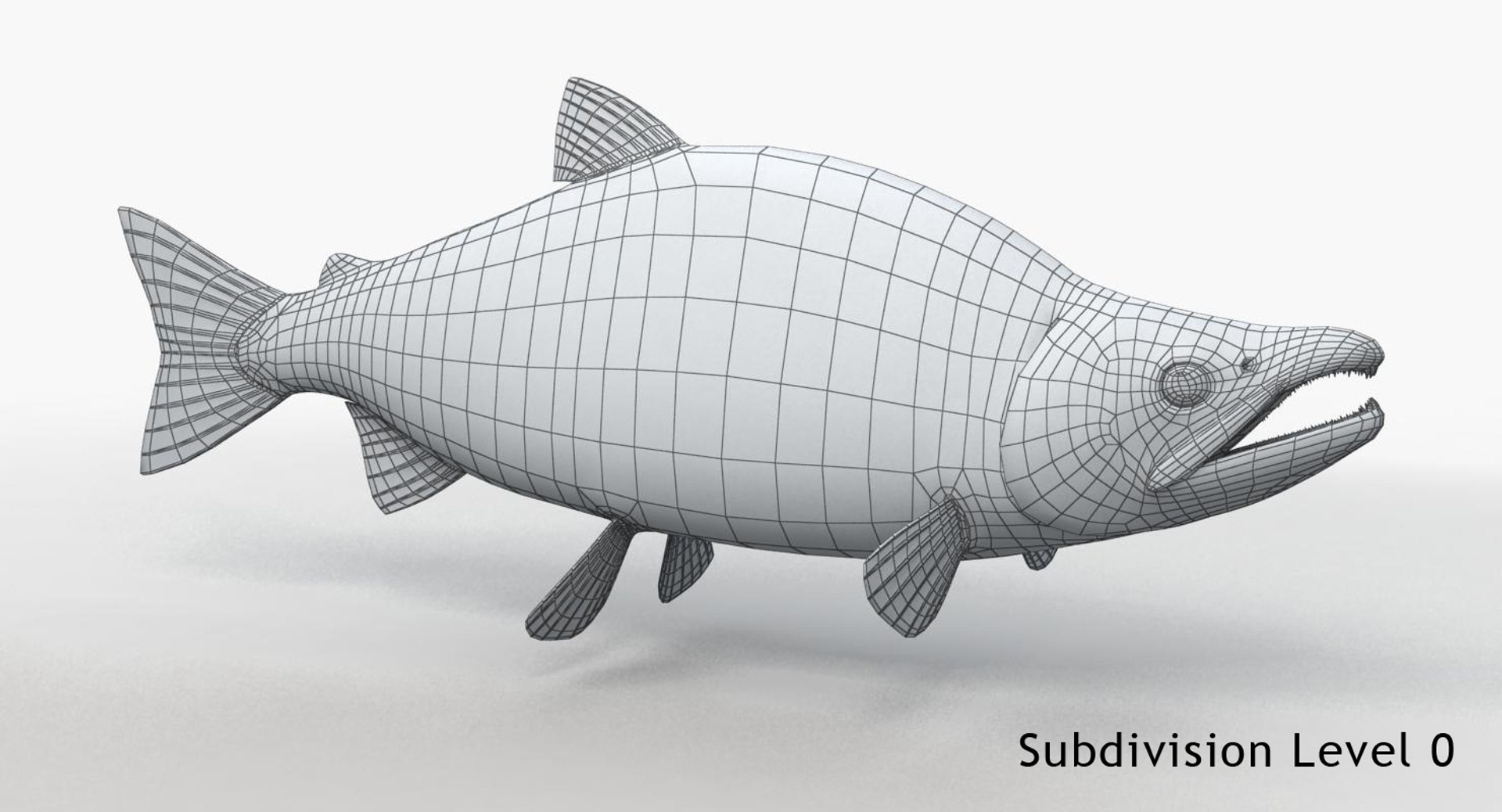 max sockeye salmon animation