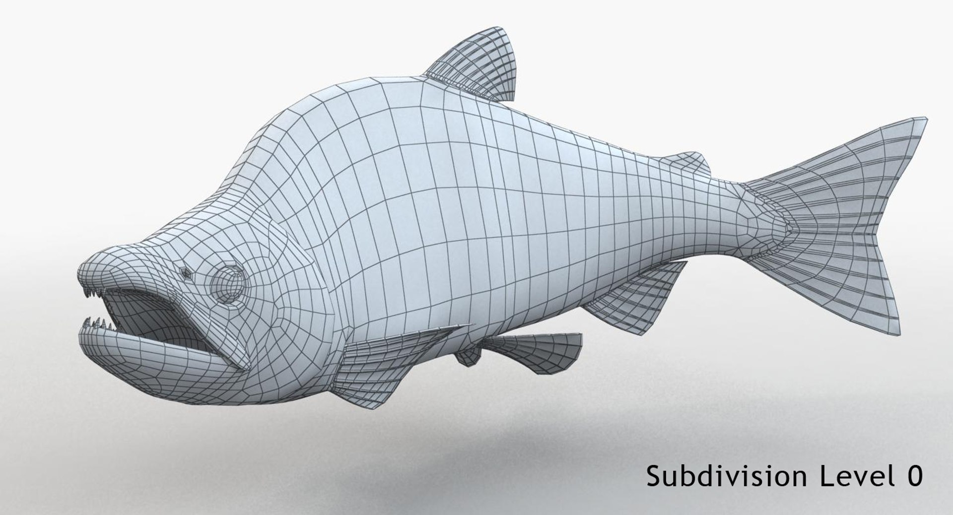 max sockeye salmon animation