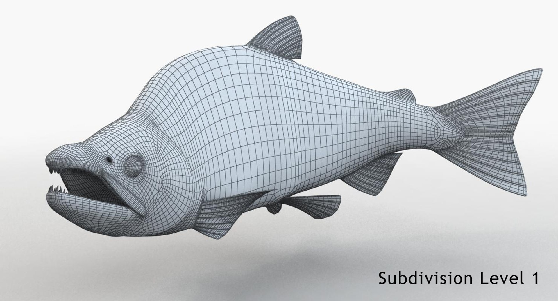 max sockeye salmon animation