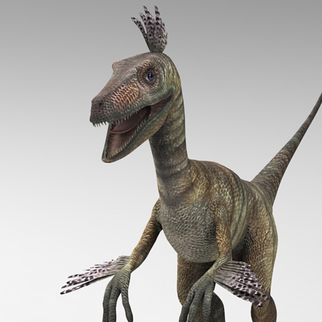 3ds Velociraptor Raptor