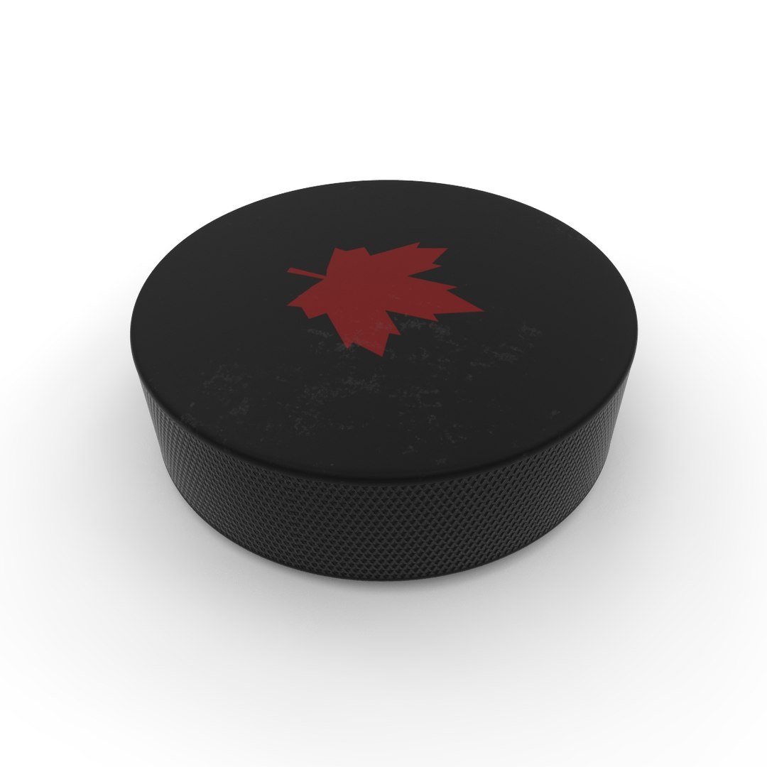 3d model puck 15 teams logo