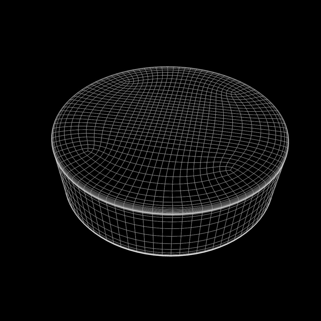 3d model puck 15 teams logo