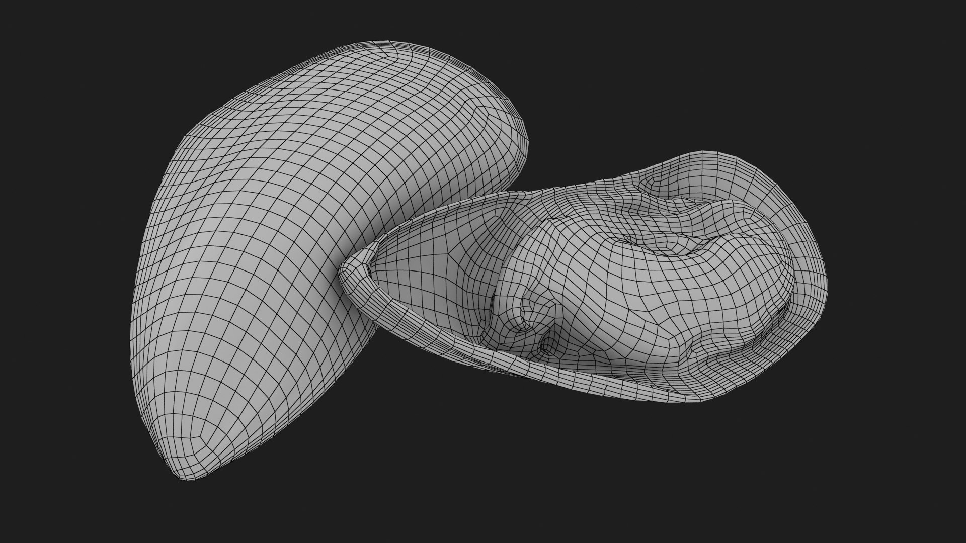 Green Mussel 03 3D Model - TurboSquid 2111205