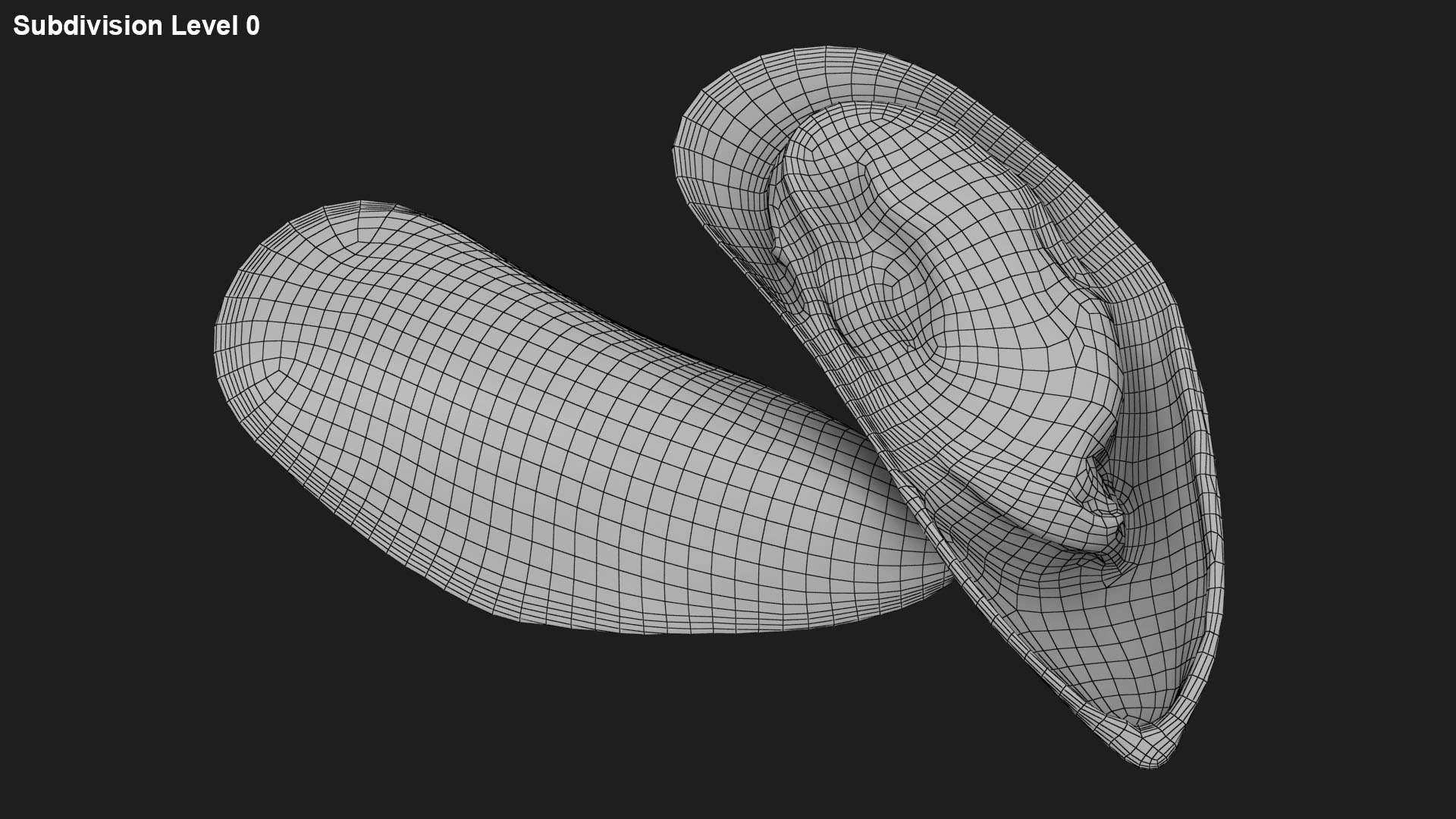 Green Mussel 03 3D Model - TurboSquid 2111205