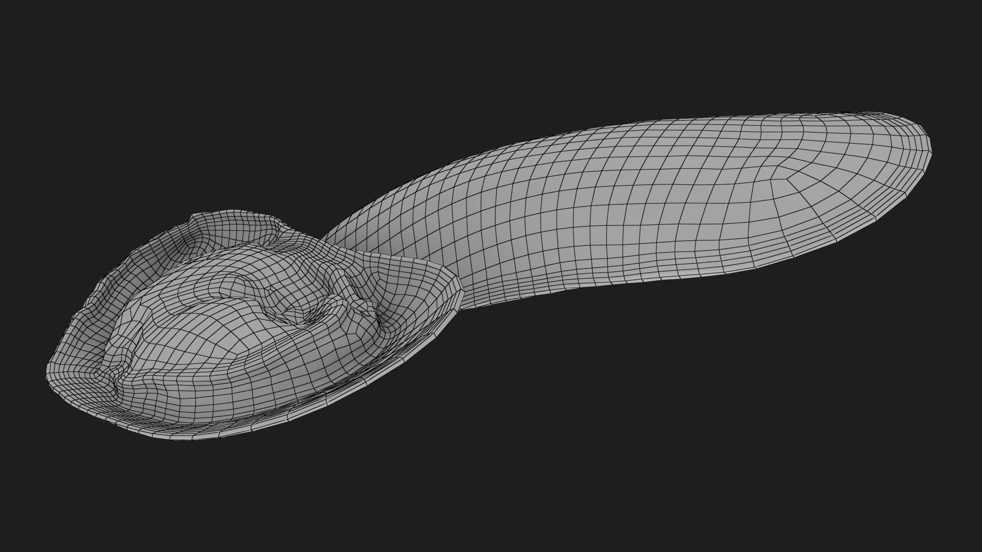 Green Mussel 03 3D model - TurboSquid 2111205