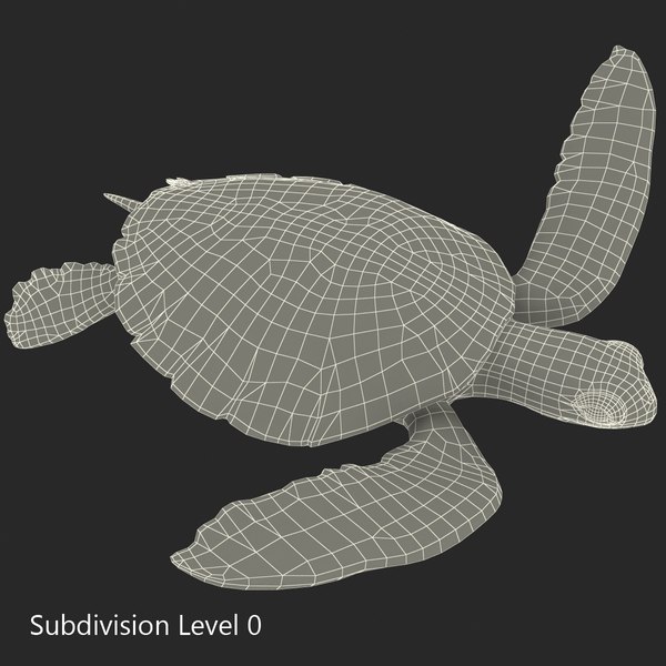3d sea turtle pose 3